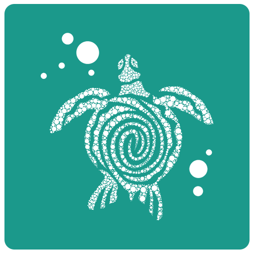 Home - Shell We Clean?